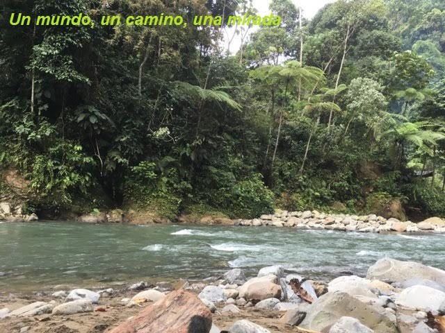 Parque Nacional de Gunung Leuser desde Bukit Lawang – Un mundo, un ...